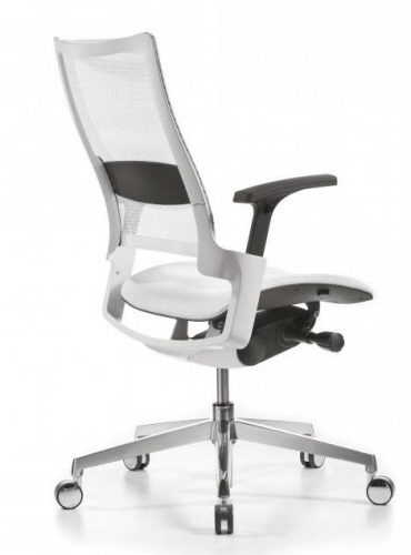 Integra Mesh OMP Wit | IntegraMeshWit